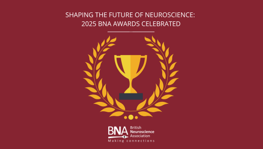 Shaping the Future of Neuroscience: 2025 BNA Awards Celebrated