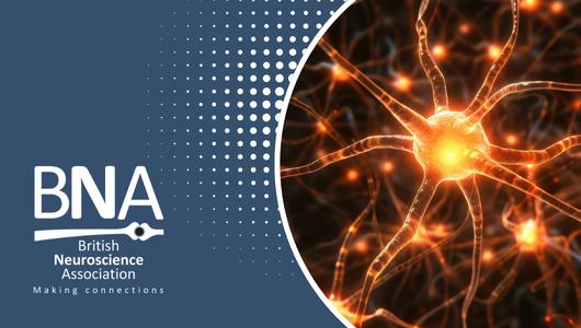 Introduction to Neurophysiology